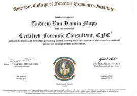 About Cyber Centaurs - Learn More | Our Approach